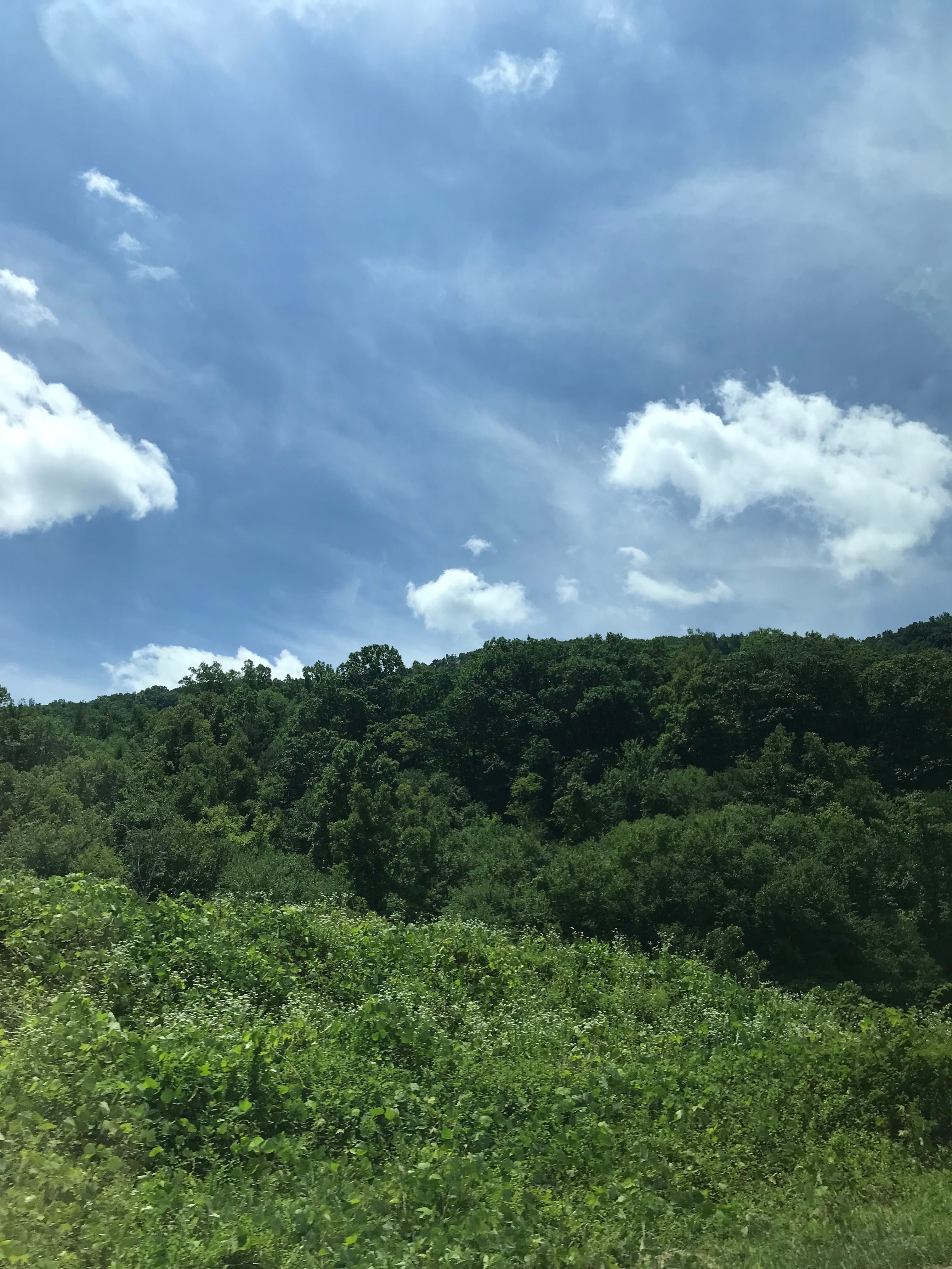 Real scenery! | HoYoLAB