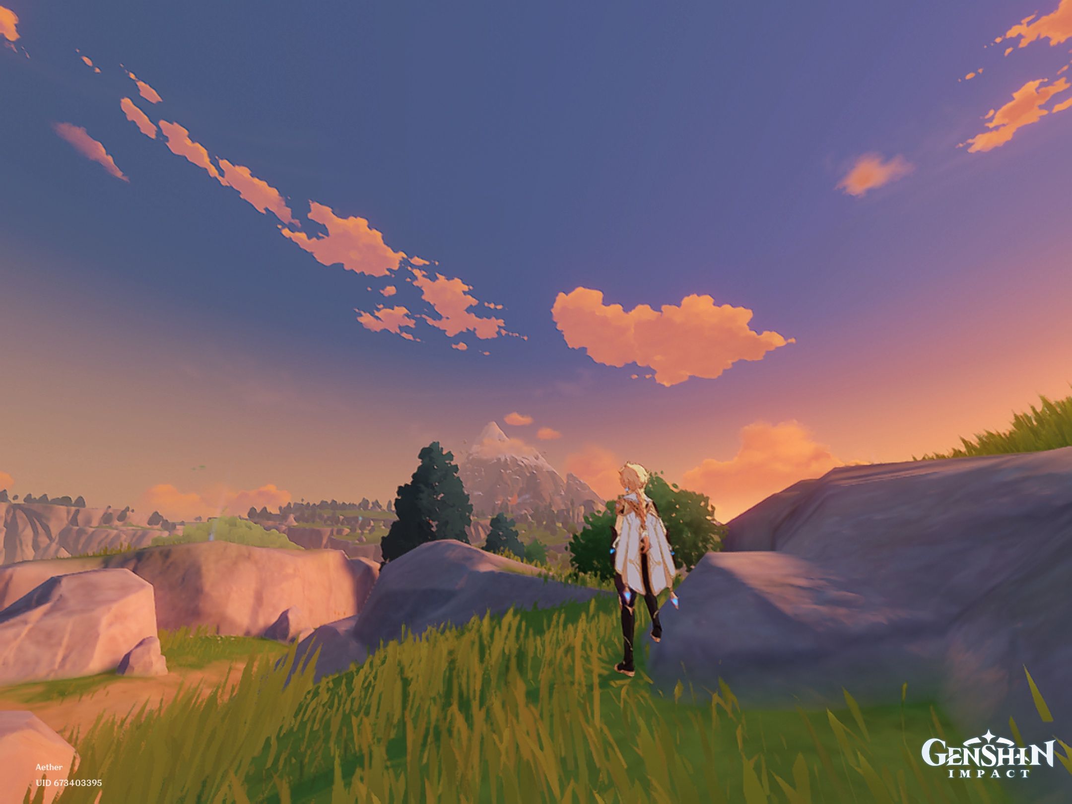 A beautiful view Genshin Impact | HoYoLAB