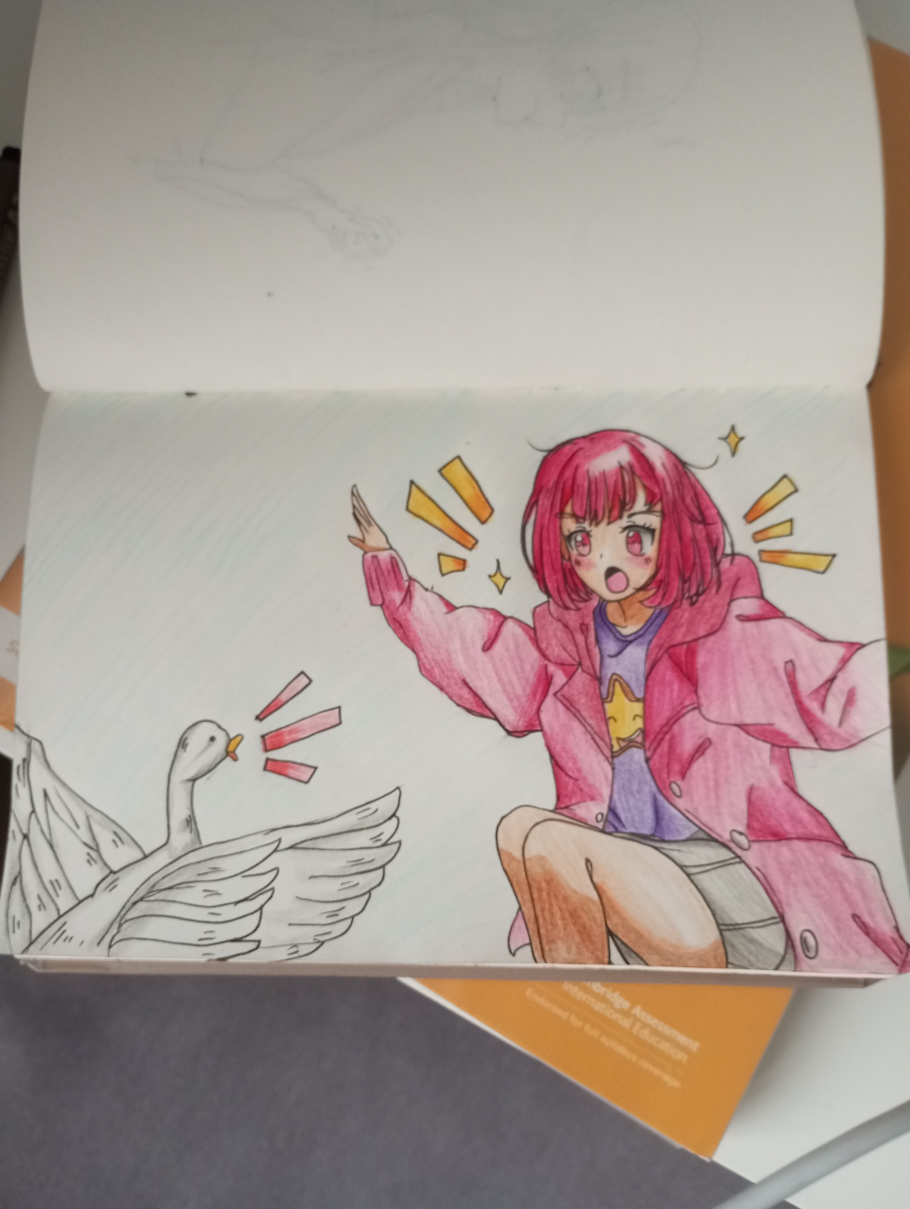 Emu communicating with ducks | HoYoLAB