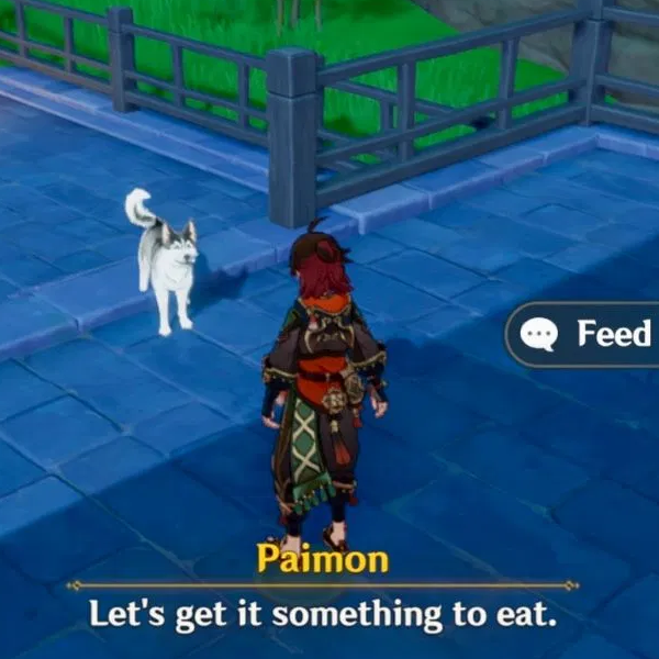 All the hungry doggo's... Genshin Impact | HoYoLAB