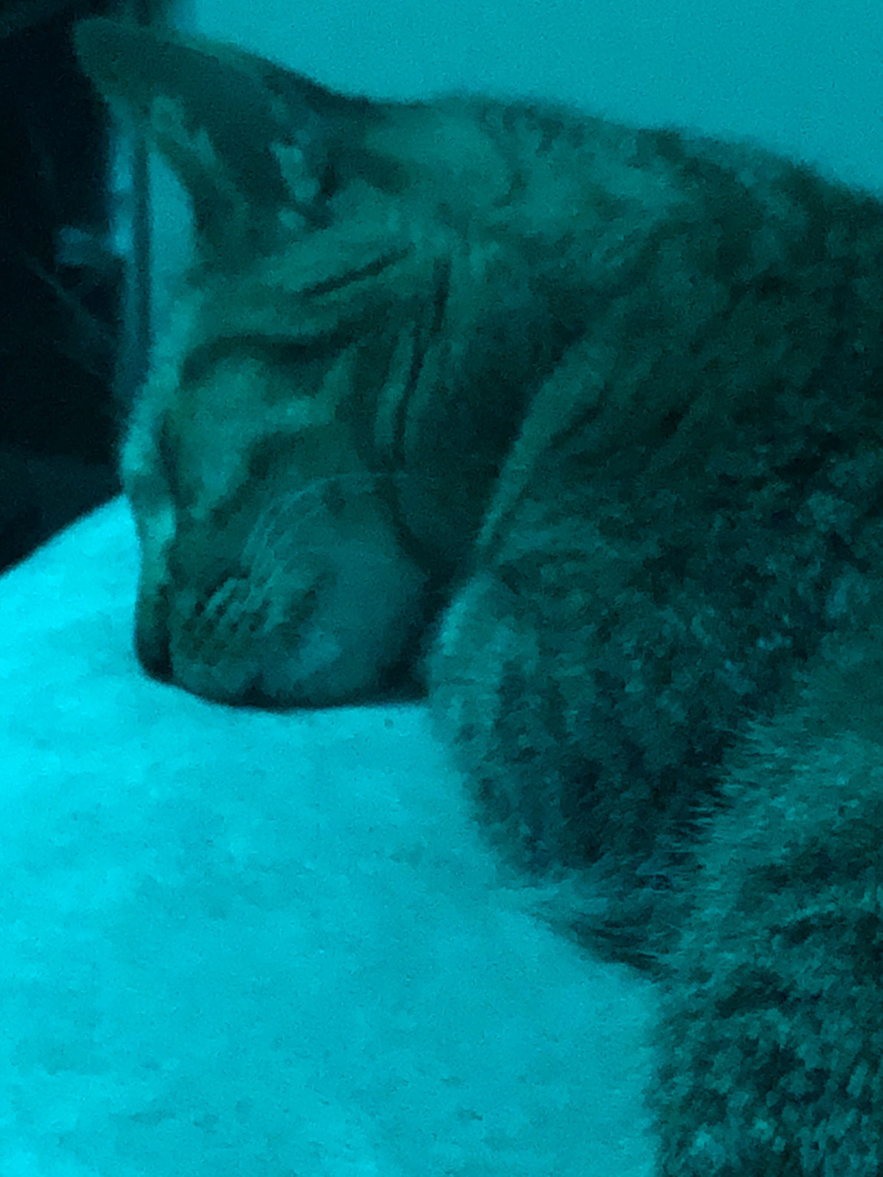 Tbhk coloring part 6 | HoYoLAB