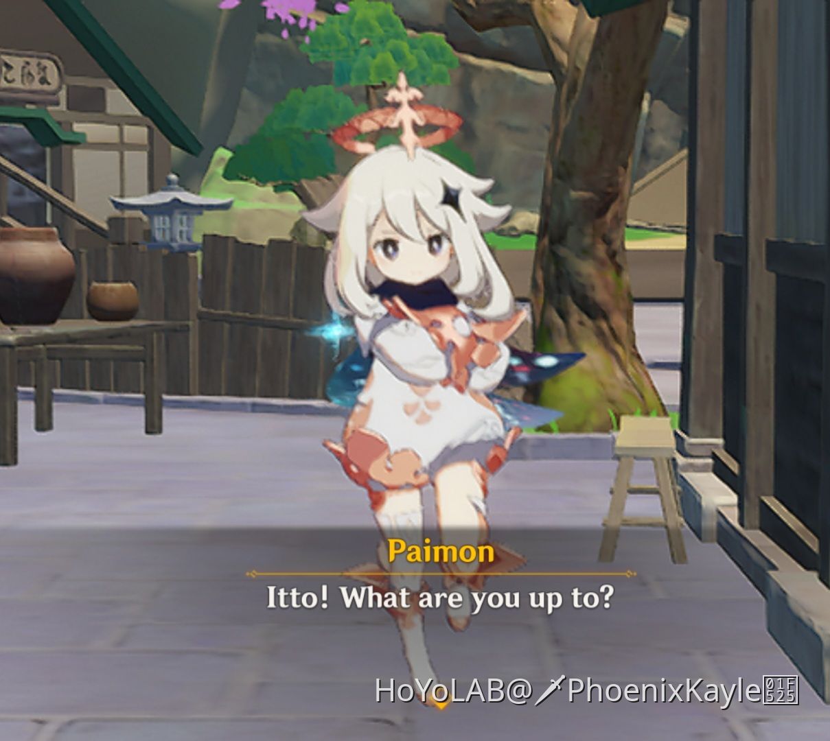 Paimon Supremacy Genshin Impact | HoYoLAB