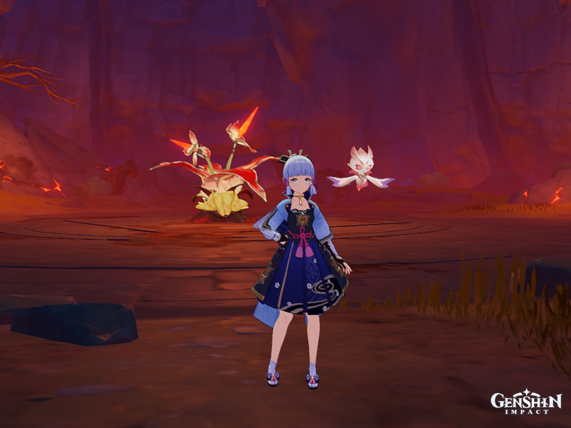 Bout to fight the pyro reg Genshin Impact | HoYoLAB