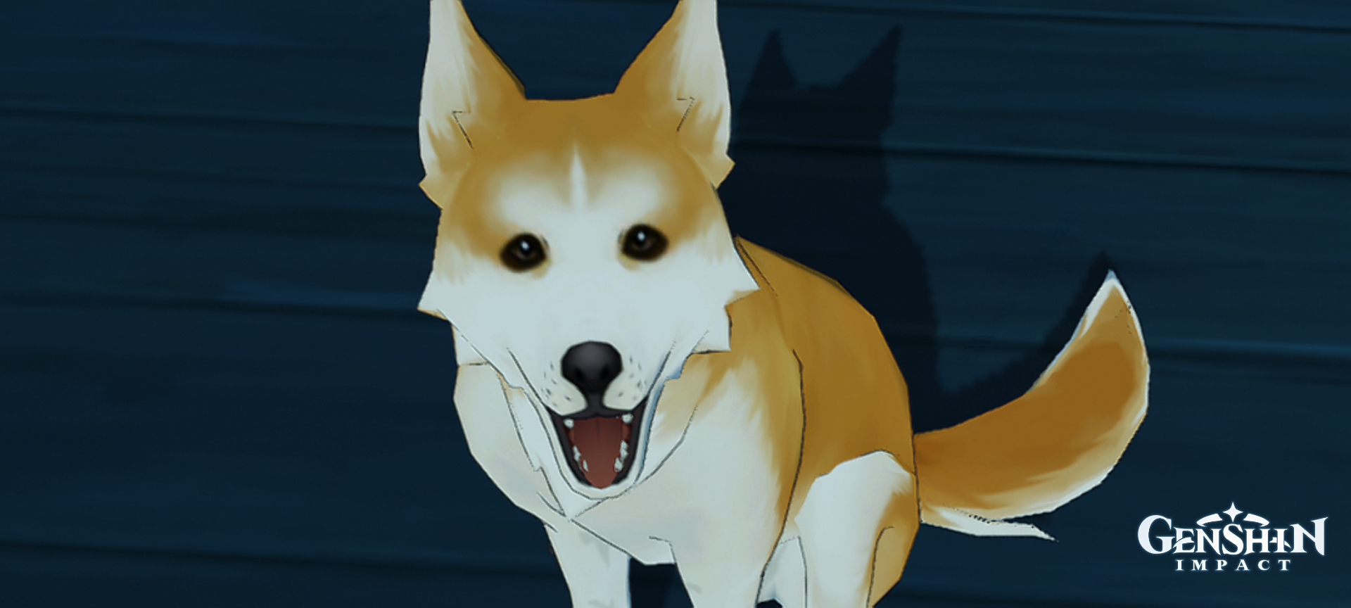 doge Genshin Impact | HoYoLAB