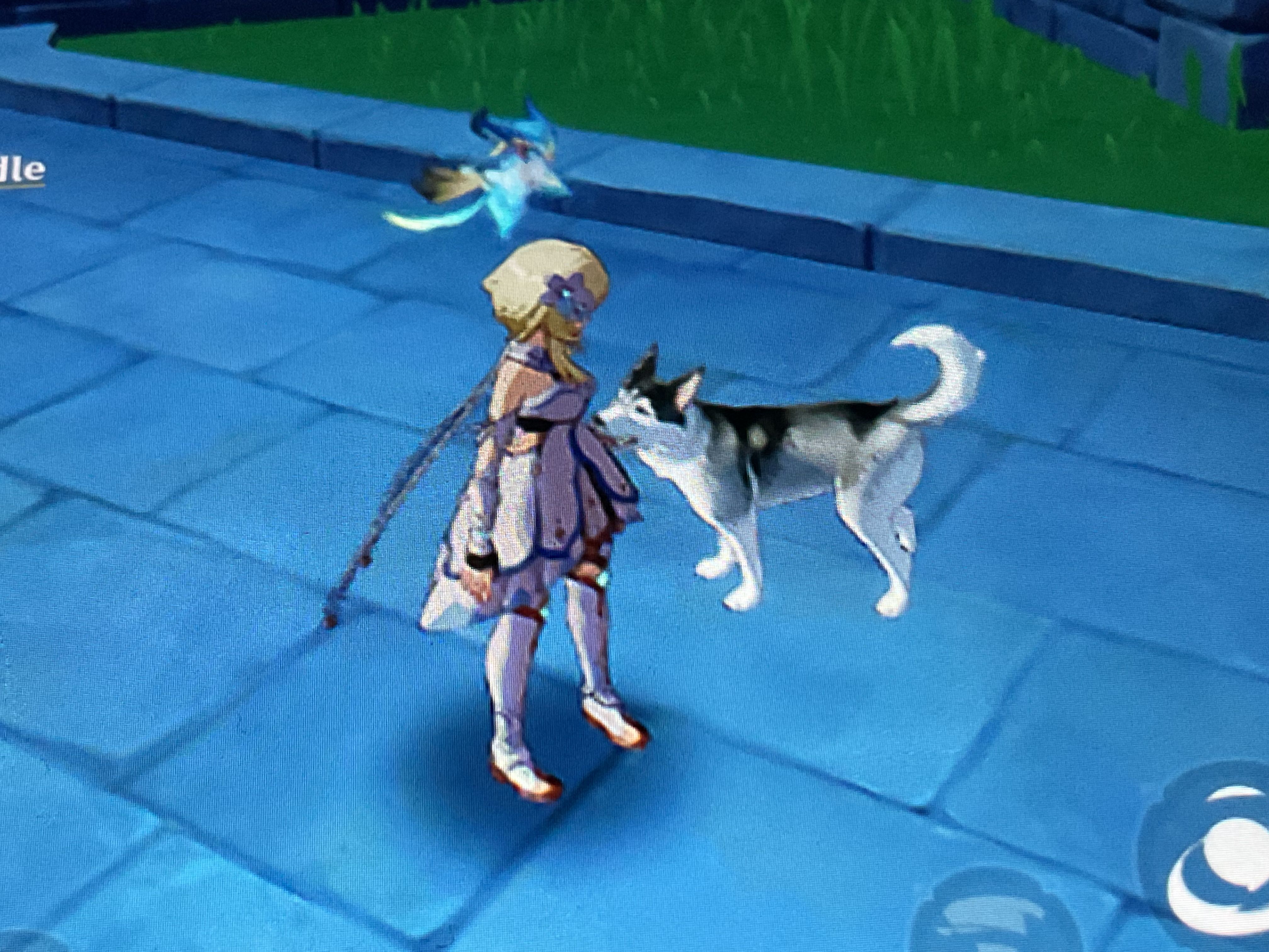 Cute husky in Genshin Impact, this is so cute 🥰 Genshin Impact | HoYoLAB