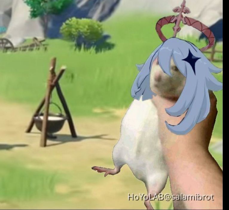 Your daily memes Genshin Impact | HoYoLAB