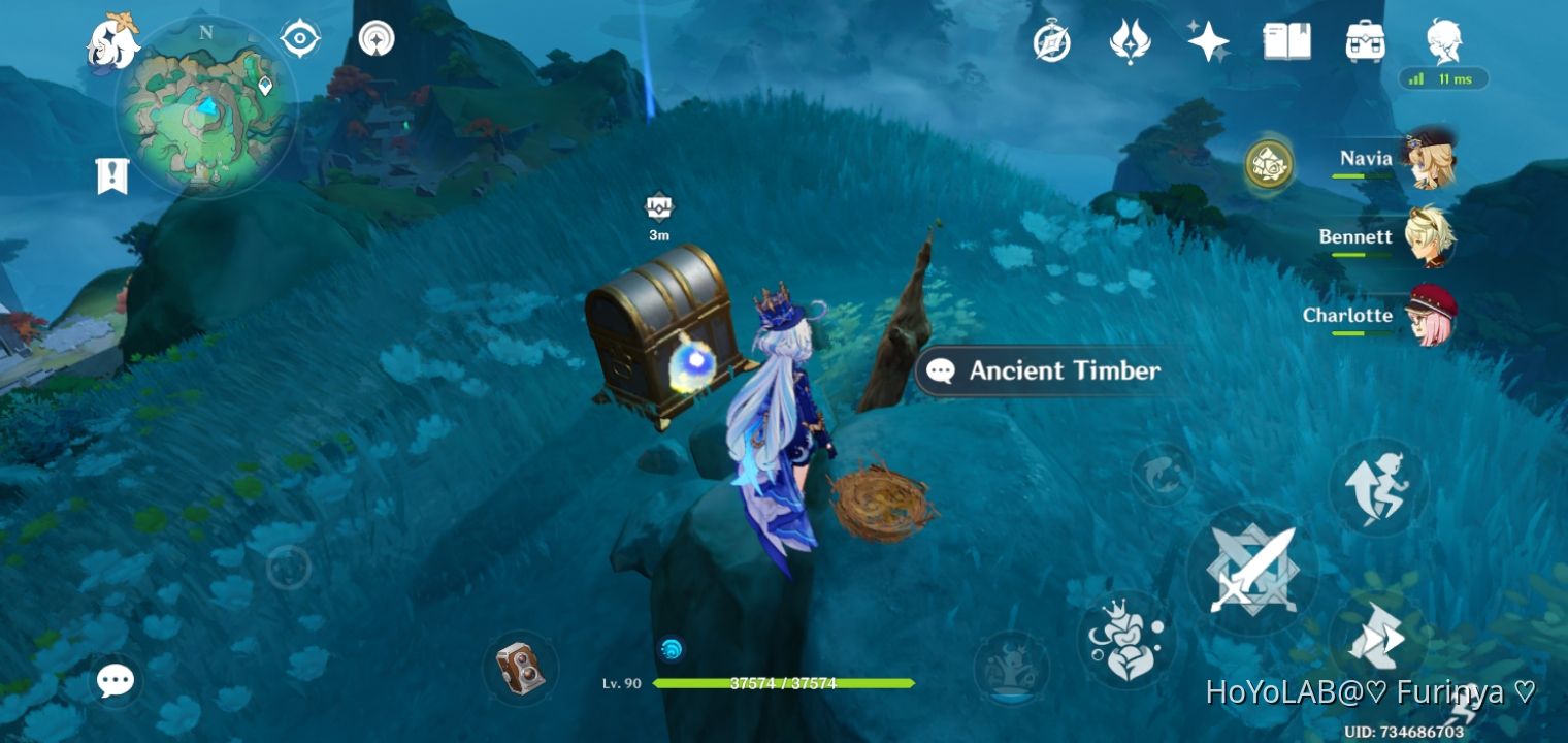 talk to a branch to get a chest Genshin Impact | HoYoLAB