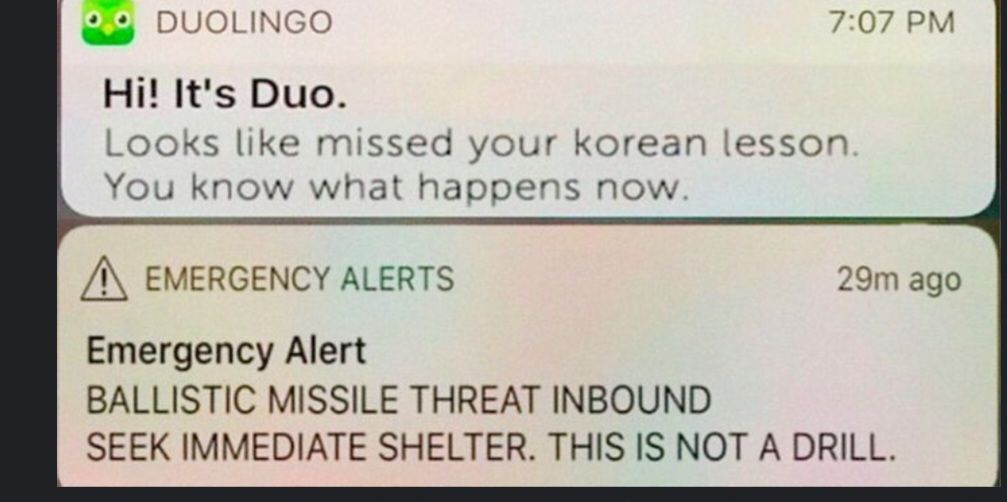 random duolingo memes | HoYoLAB