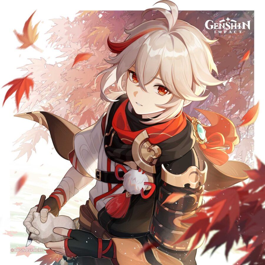 help me,should i pull for kazuha?? Genshin Impact | HoYoLAB