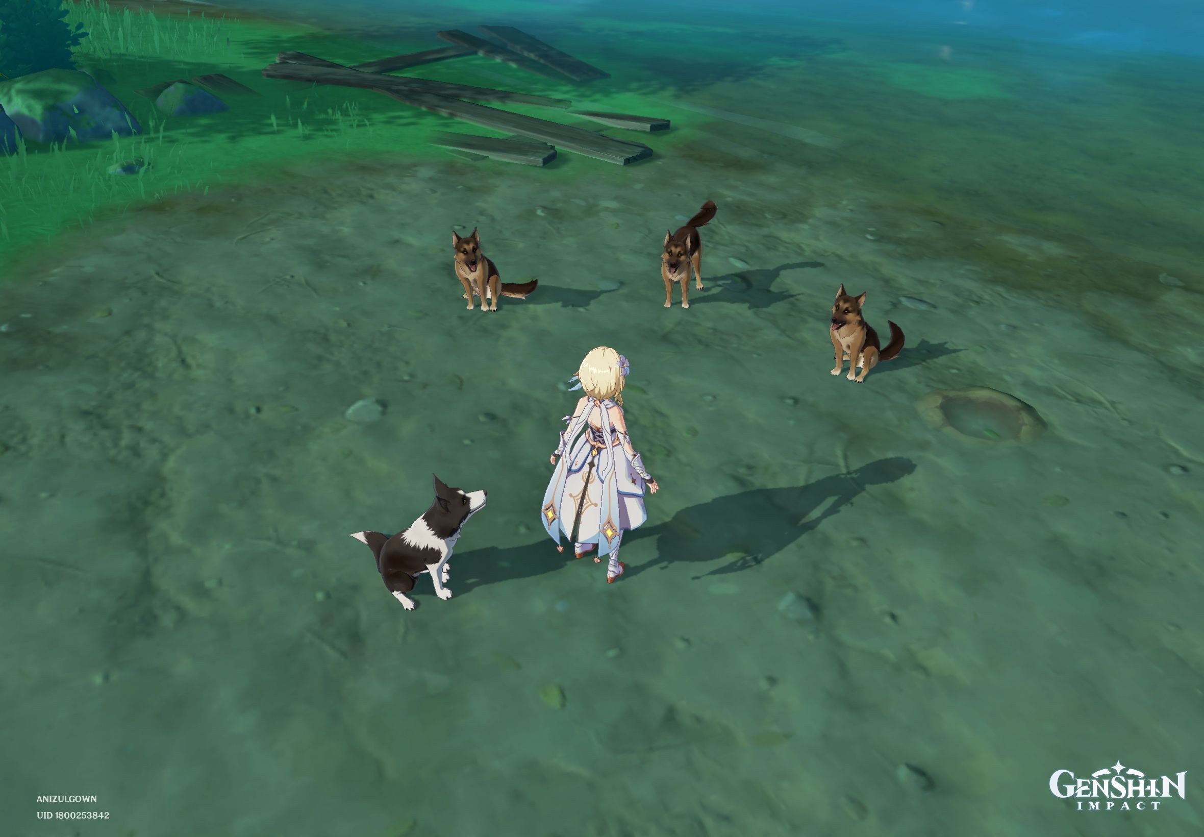 Loved by so many dogs Genshin Impact | HoYoLAB