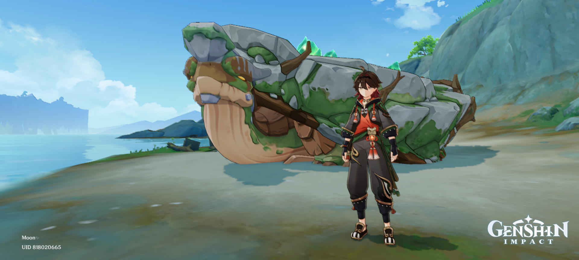 The momma turtle ️🔥 Genshin Impact | HoYoLAB