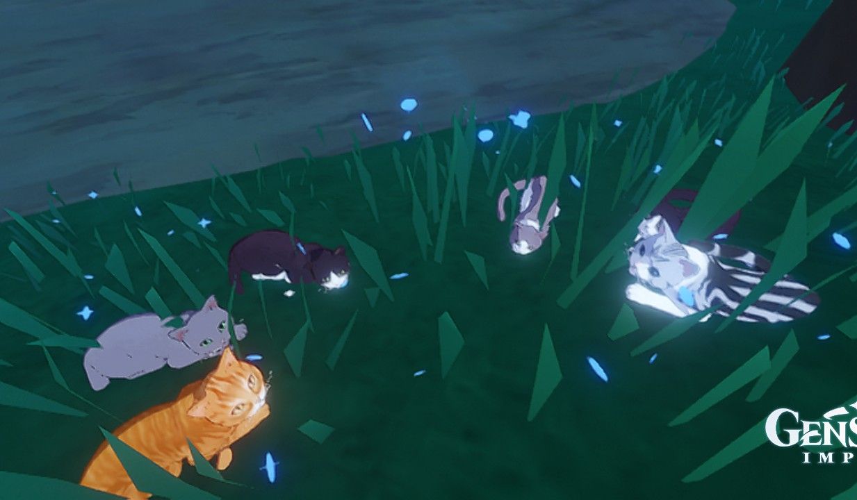 Fave animals in genshin!! Genshin Impact | HoYoLAB