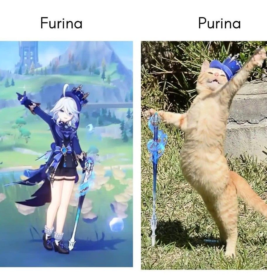 We love Purina🥰 Genshin Impact | HoYoLAB