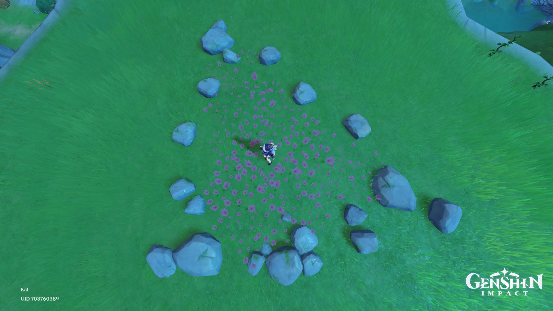 Does it show the new important location? Genshin Impact | HoYoLAB