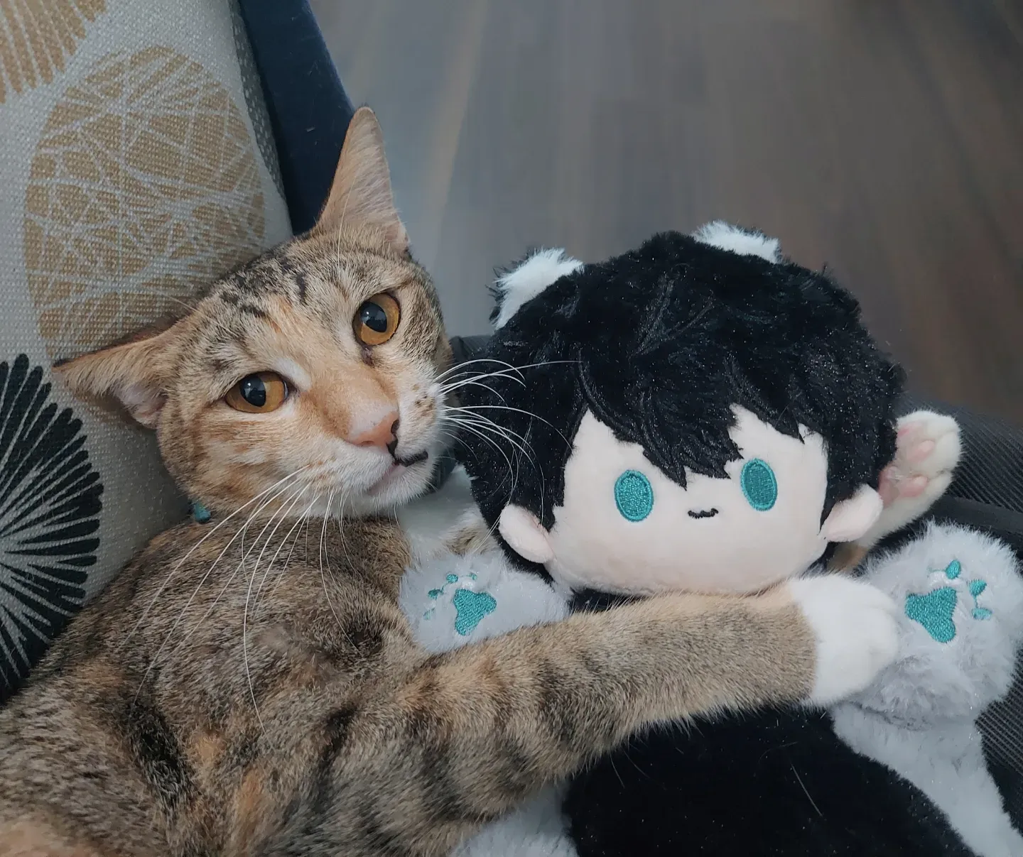 My cat loves Dan Heng Honkai: Star Rail | HoYoLAB
