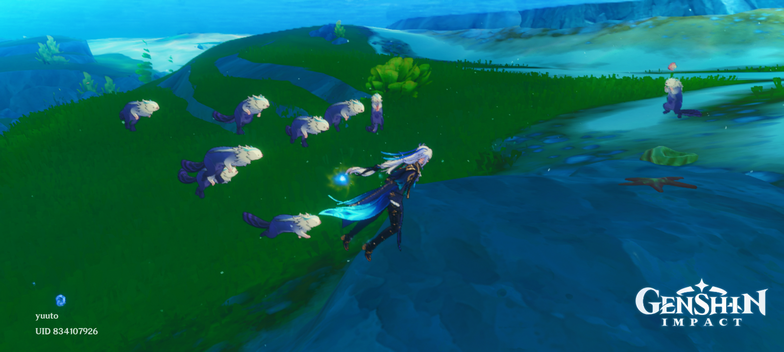 Ai mua rái cá hơm, tui cho miễn phí luôn nè💙🩵 Genshin Impact | HoYoLAB