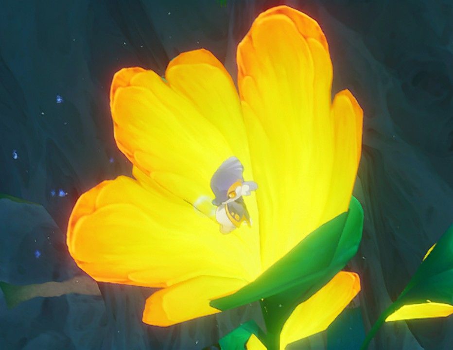 sea creatures Genshin Impact | HoYoLAB