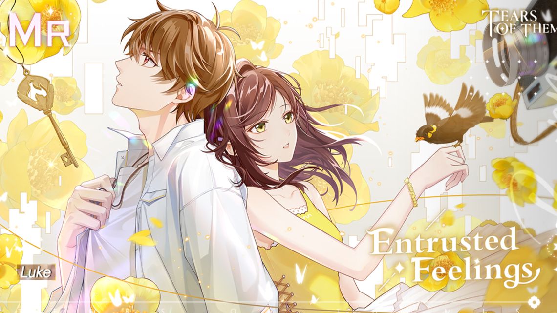 How do MR cards work? A simple guide on MR cards ₊ ‧₊ Tears of Themis ...