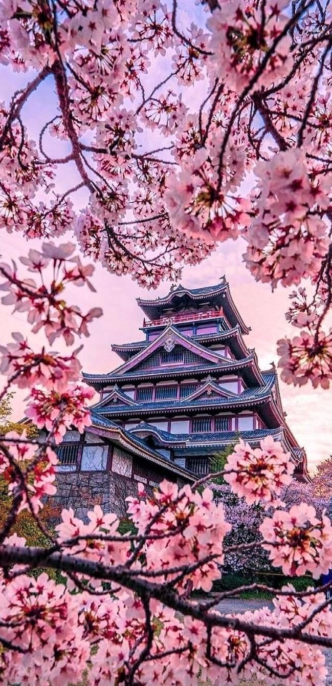 Inazuma real life🩷 Genshin Impact | HoYoLAB