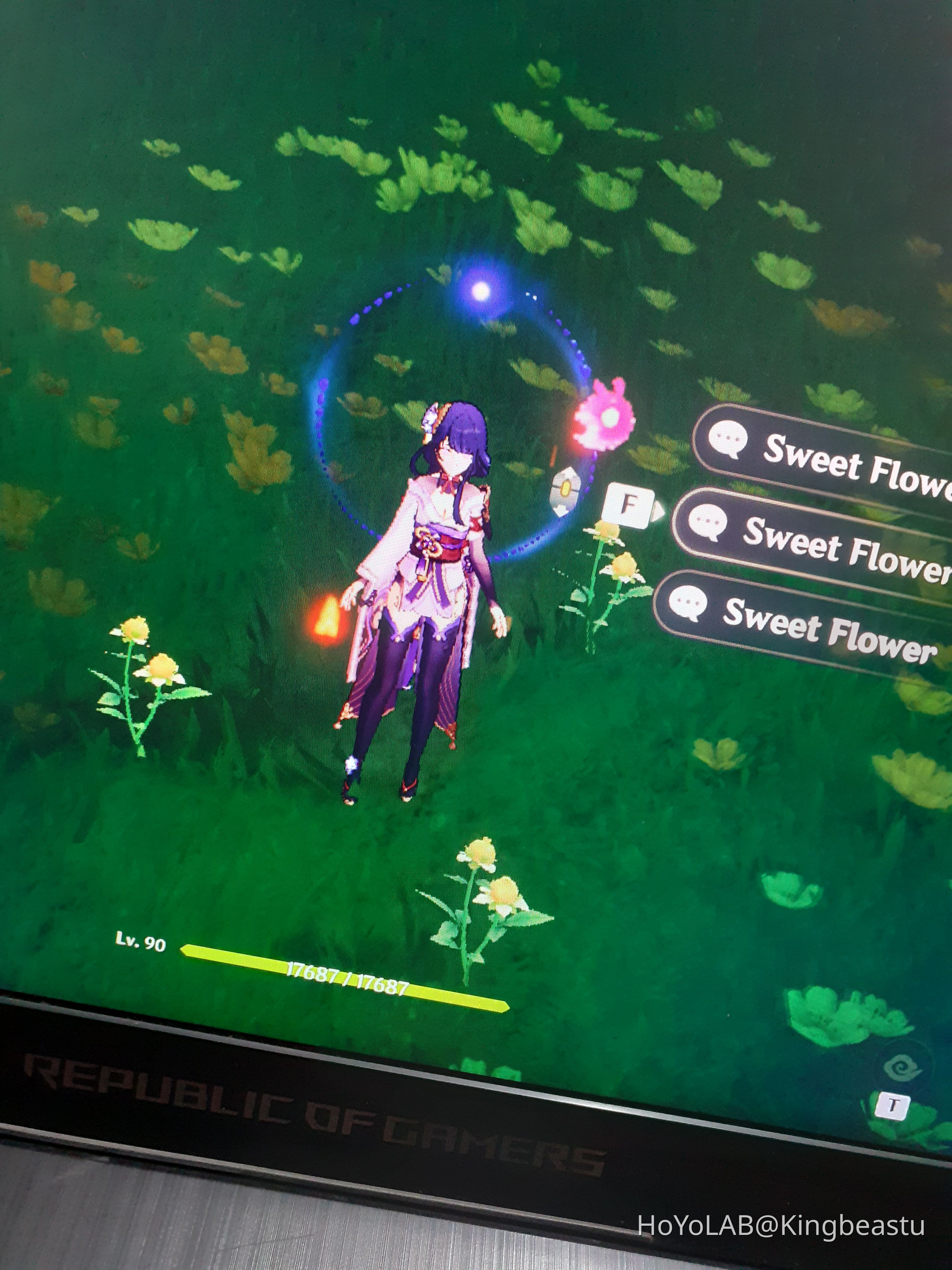 3 Flowers, 1 Raiden! 🤔 Genshin Impact | HoYoLAB