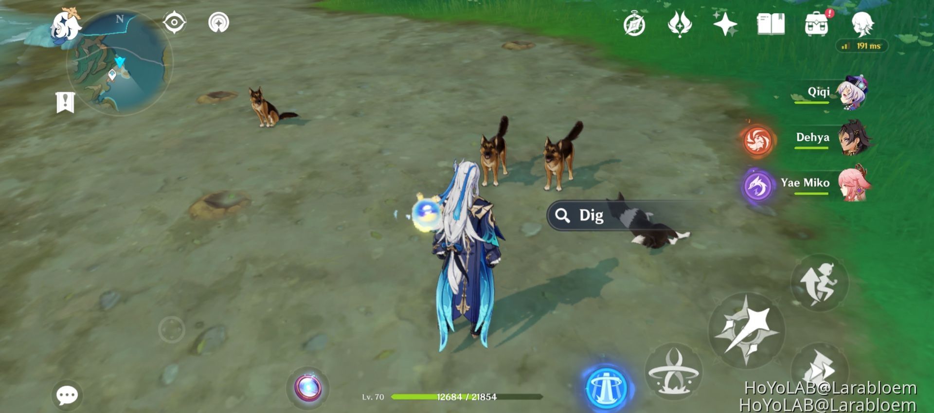 Doggos! They are the best! Genshin Impact | HoYoLAB