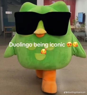 Duolingo bc my storage is screaming rn | HoYoLAB
