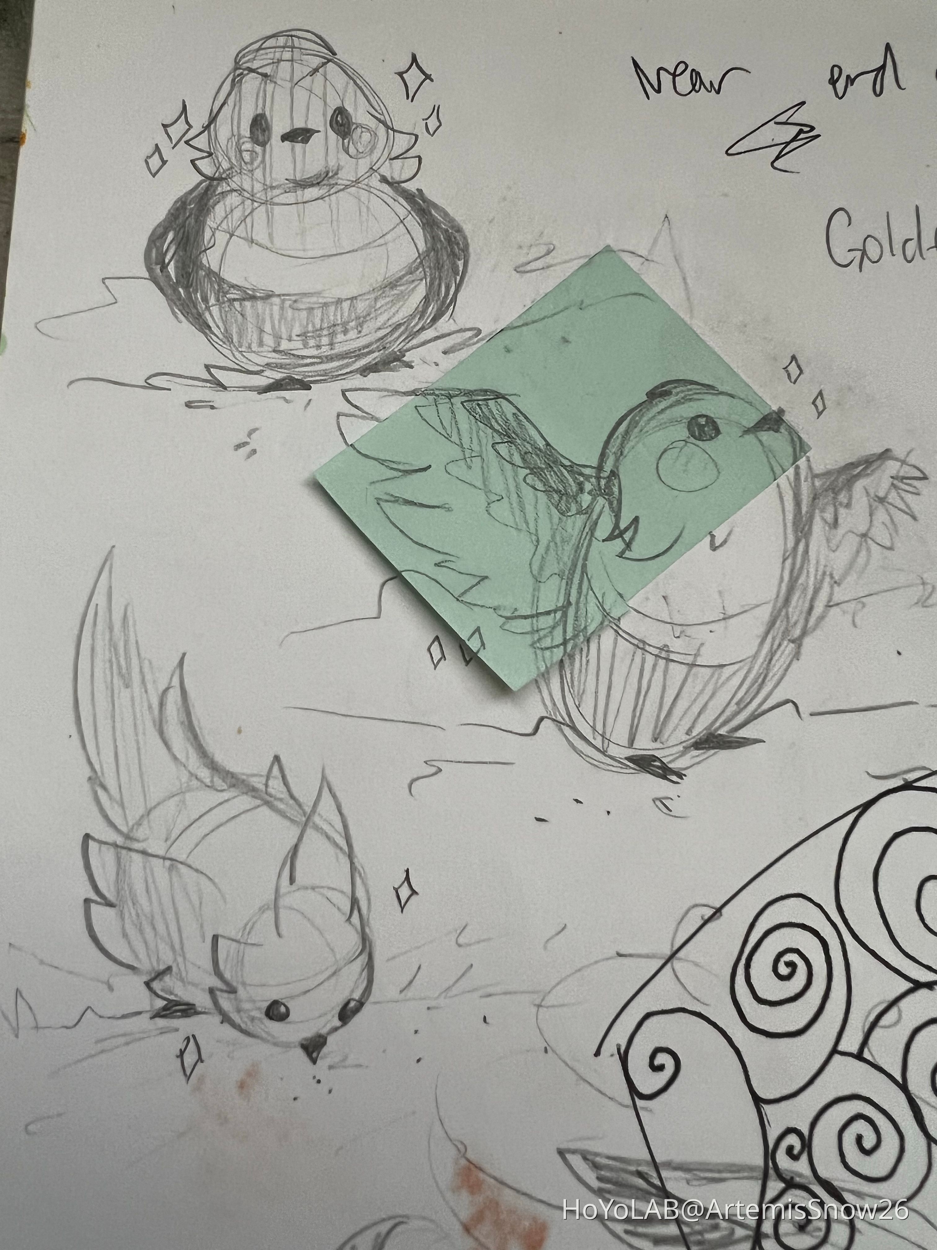 Genshin finches 🥰 Genshin Impact | HoYoLAB