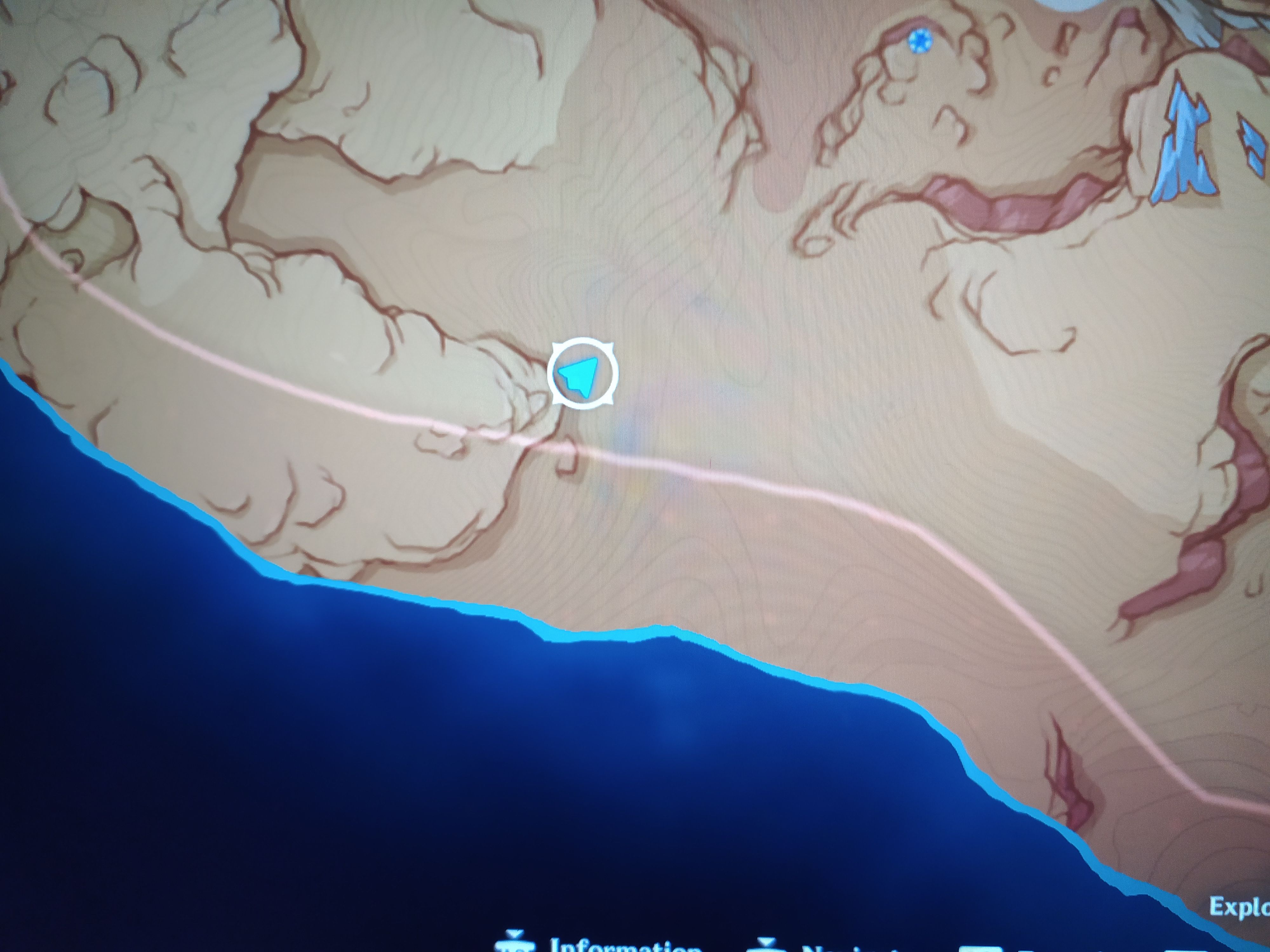 Turtle on the desert Genshin Impact | HoYoLAB