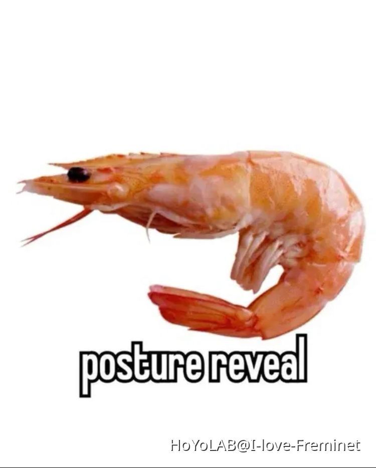 Posture reveal | HoYoLAB