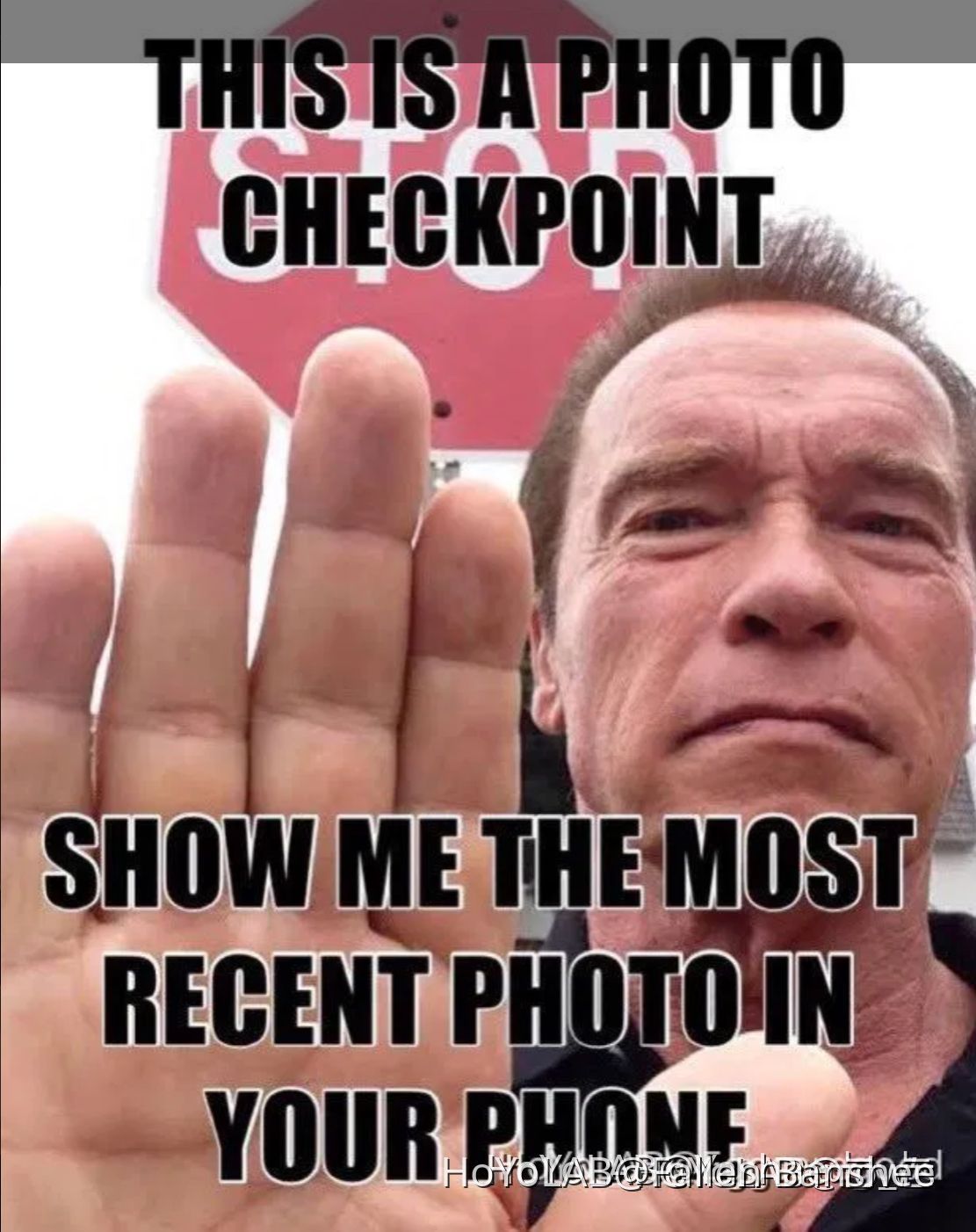 Checkpoint (make me laugh) Genshin Impact | HoYoLAB