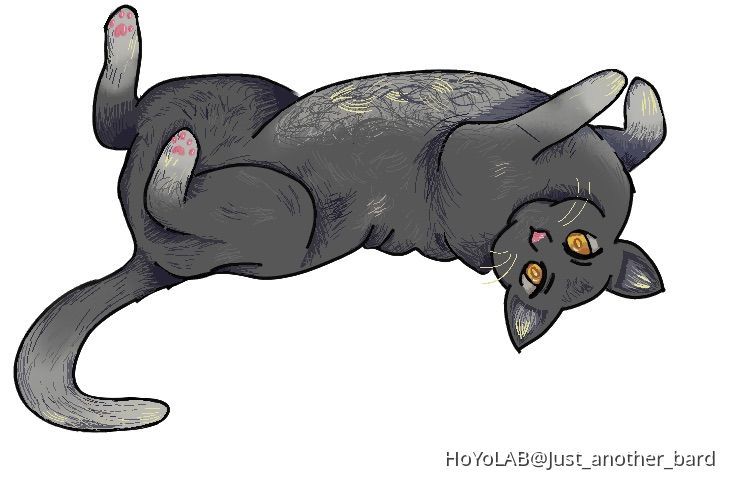 Trailblazer Cat! | HoYoLAB