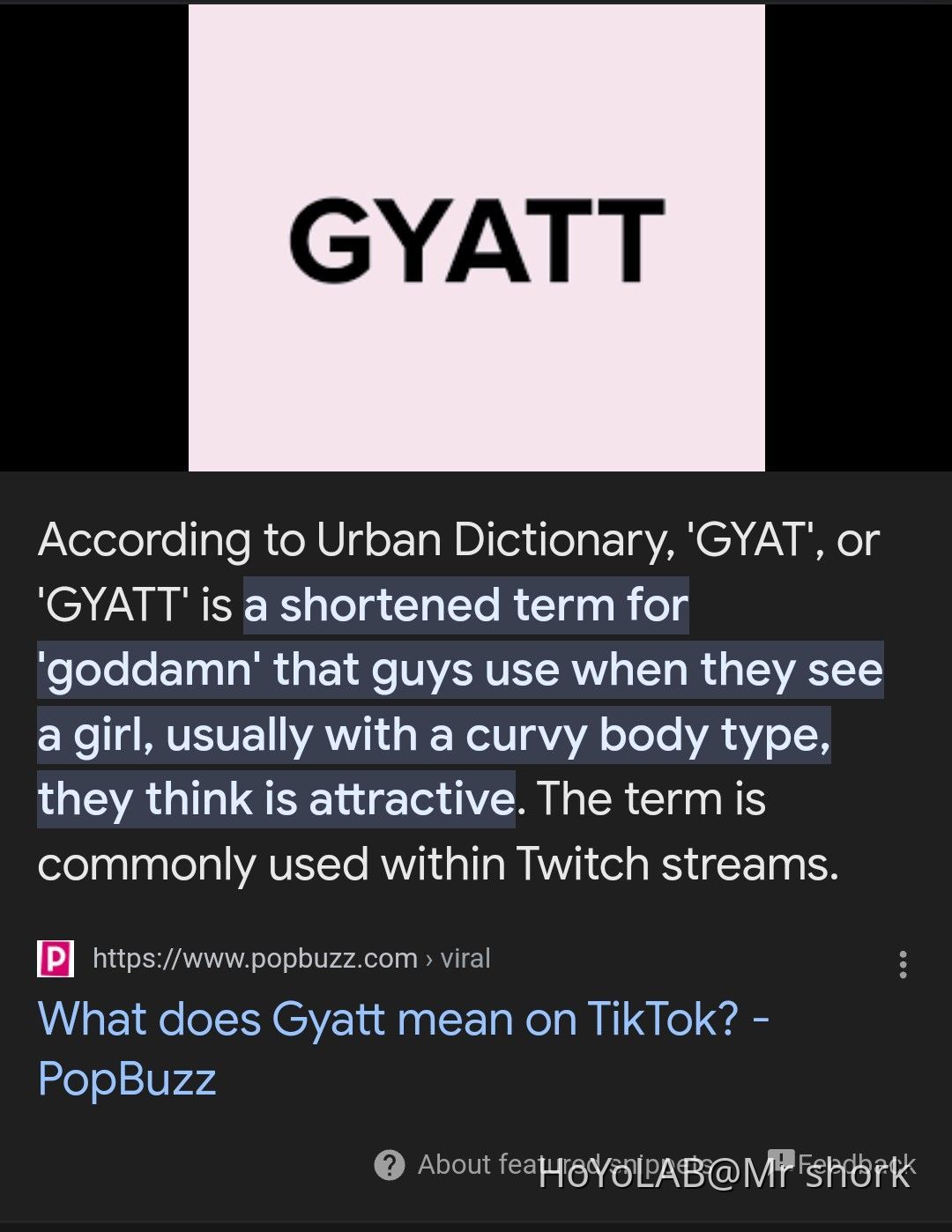 Ohh 😯 ok GYATT~ Genshin Impact | HoYoLAB