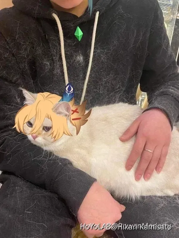 Your Daily Dose of Memes #36 Genshin Impact | HoYoLAB