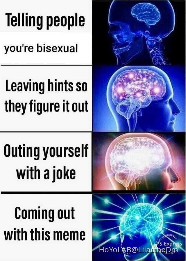 Bi memes I used to come out | HoYoLAB