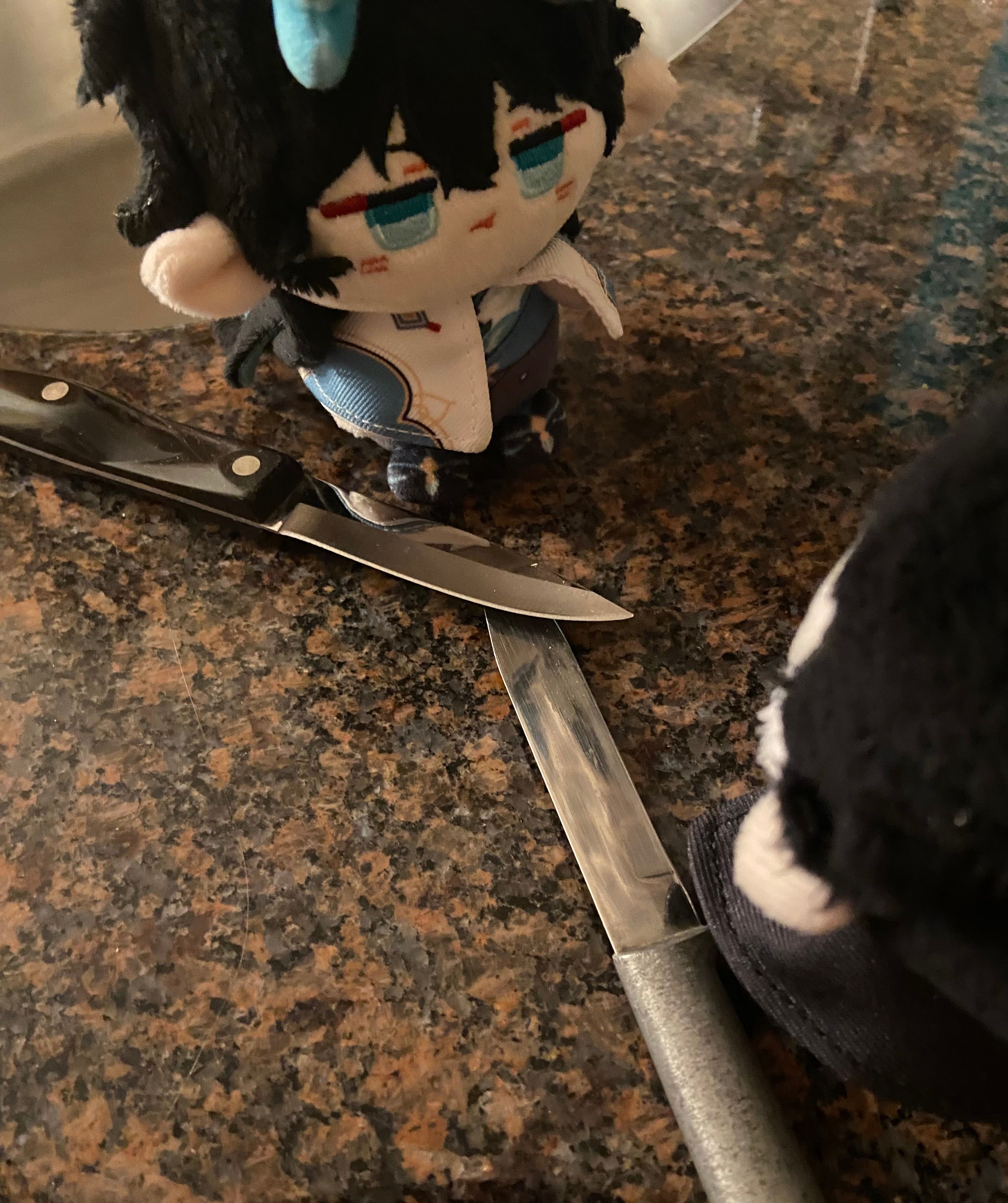 Knife duel | HoYoLAB