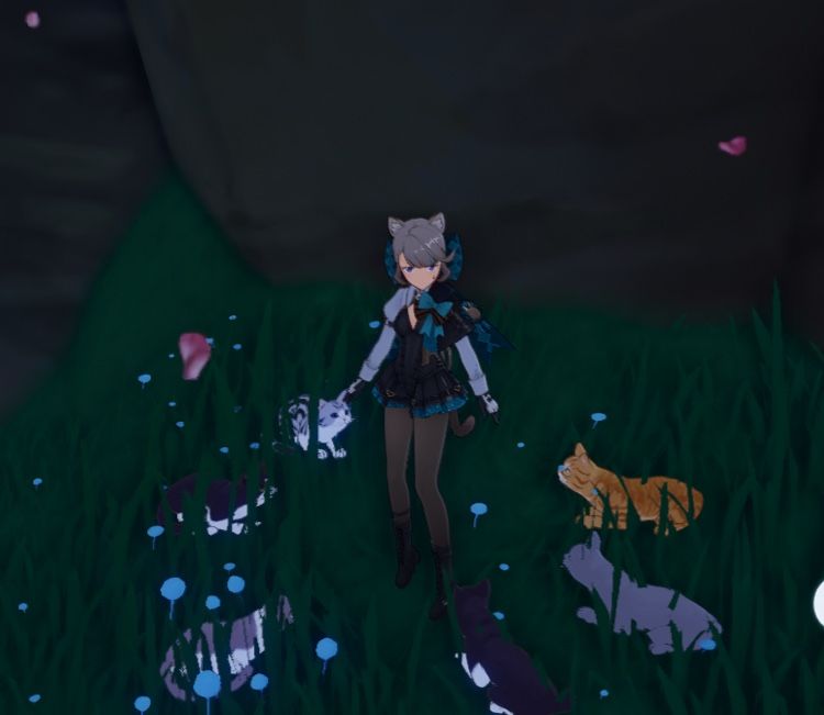 Lynette with the cats ^-^ Genshin Impact | HoYoLAB