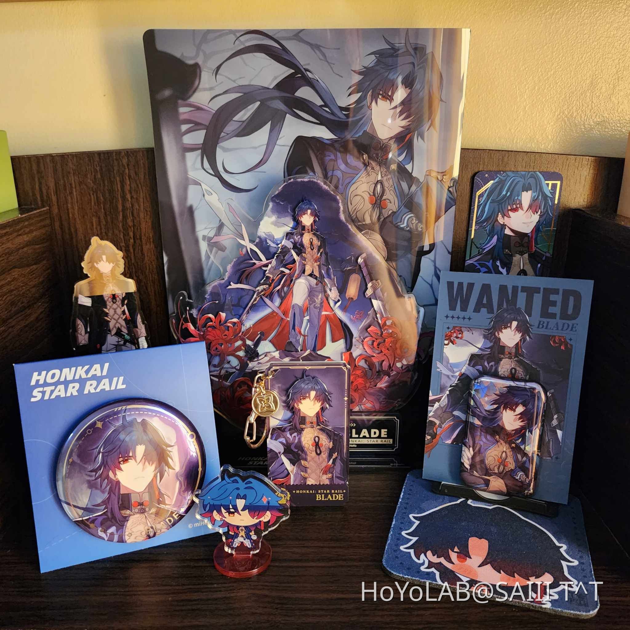 Blade is always after my 💳: Here's all my official merch after nearly 1 ...