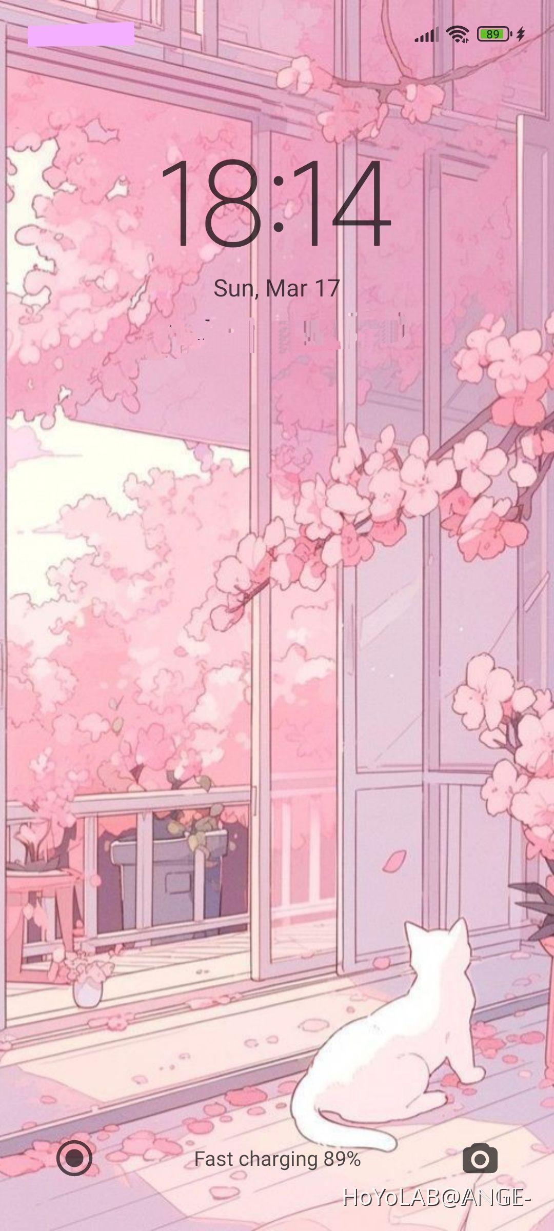 🌸Sakura Theme🌸 My Phone Theme | HoYoLAB