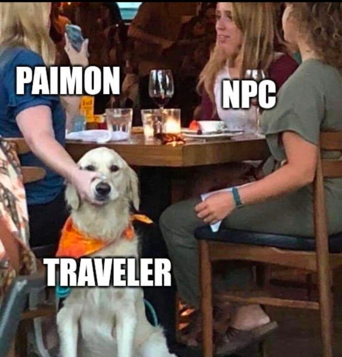 Every freakin time while doing quests Genshin Impact | HoYoLAB