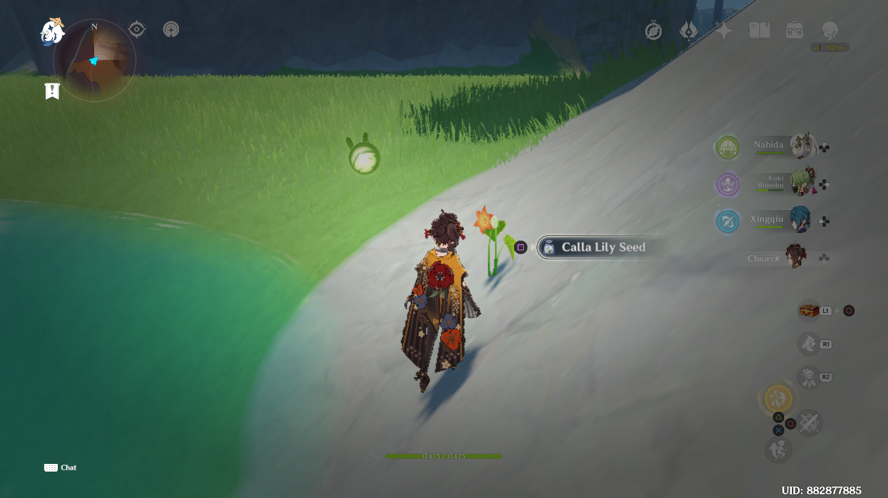 The isolated calla lily Genshin Impact | HoYoLAB