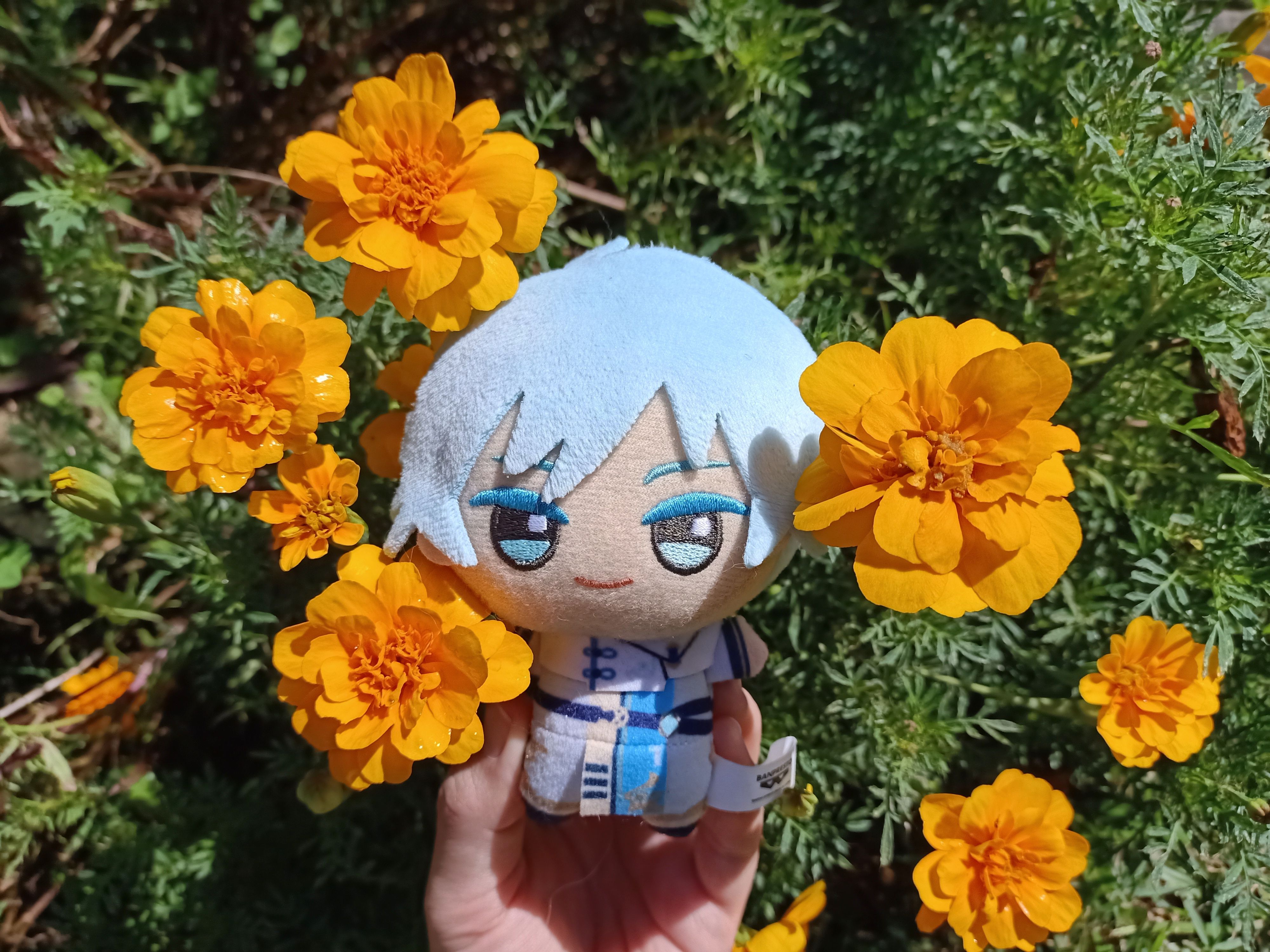 Flowers Genshin Impact | HoYoLAB