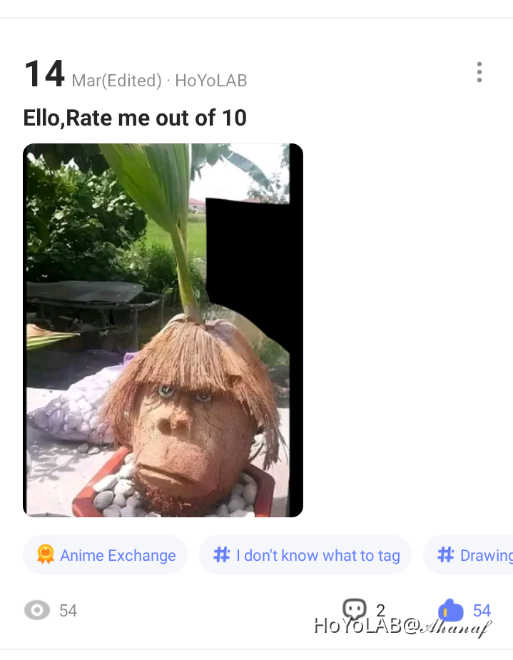 54 likes,54 view's that's 100% like rate | HoYoLAB