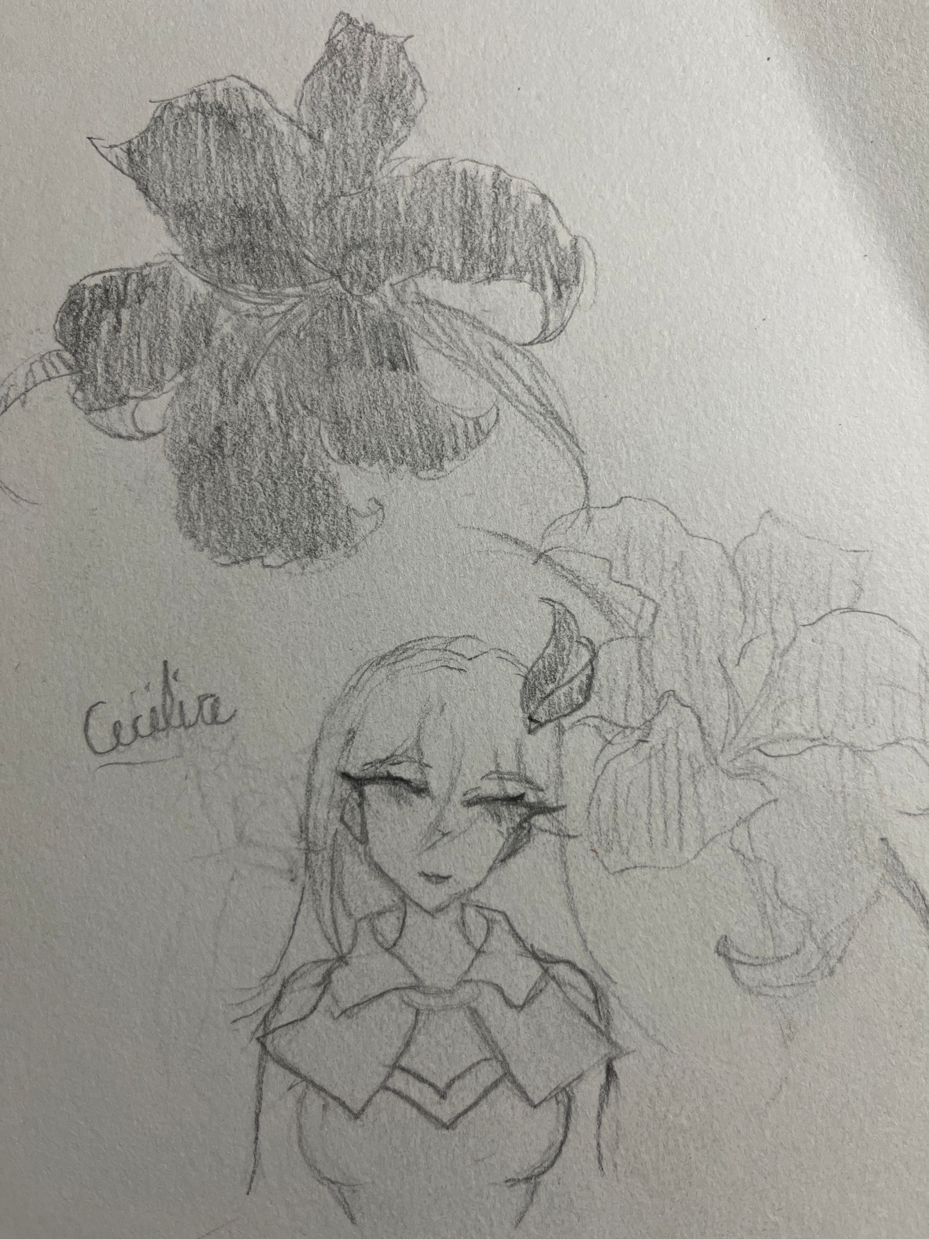 cecilia Honkai Impact 3rd | HoYoLAB