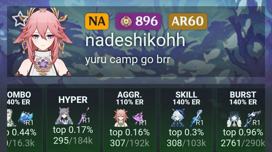 I have started to cook a bit harder on the akasha system Genshin Impact ...