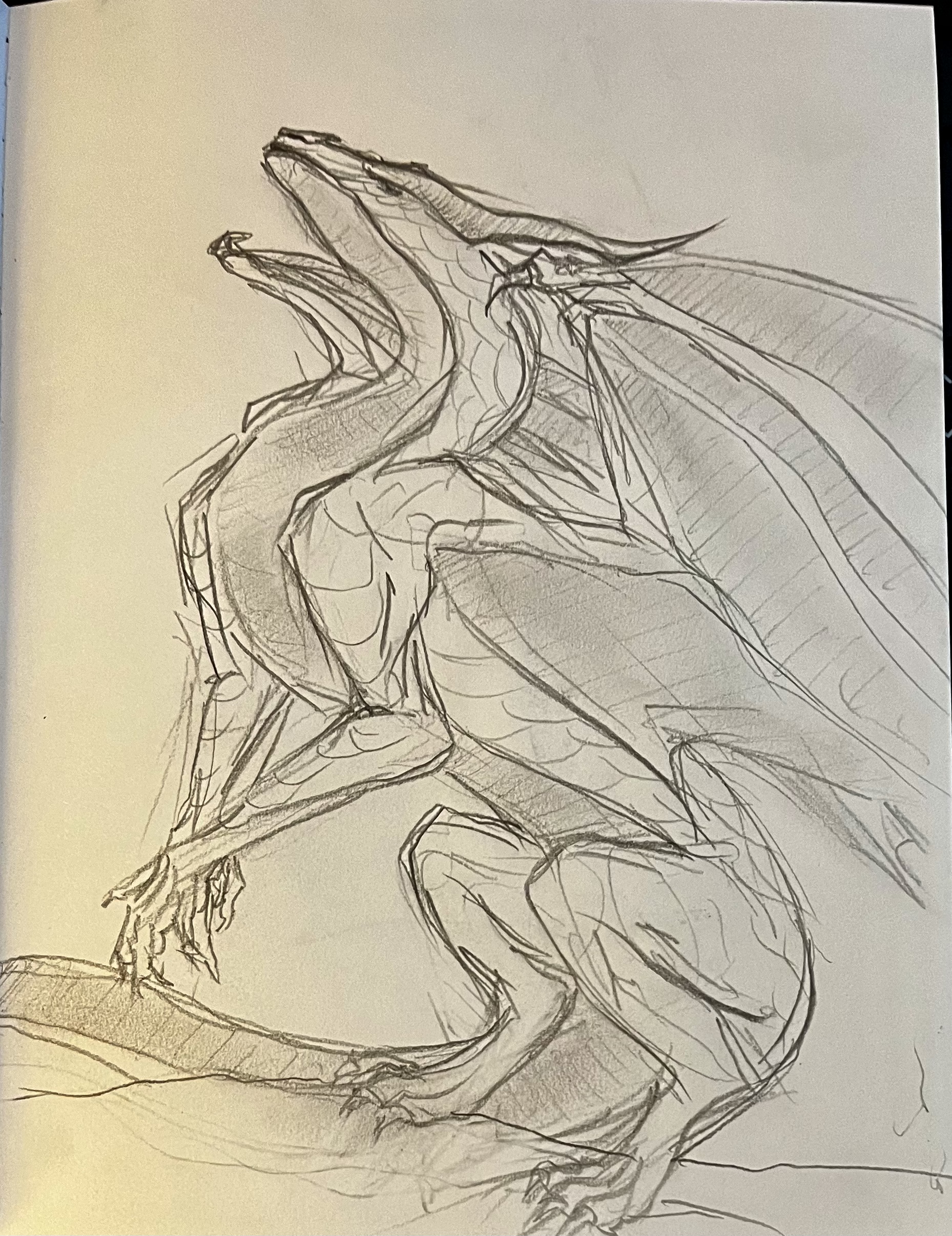 here have a dragon | HoYoLAB