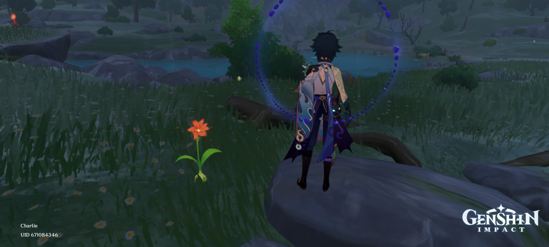 Windwheel Aster moves.. Genshin Impact | HoYoLAB