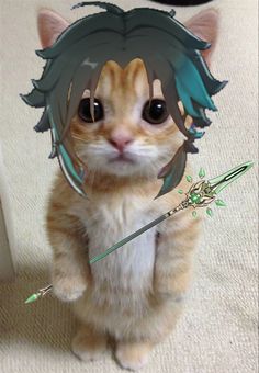 xiao cat Genshin Impact | HoYoLAB