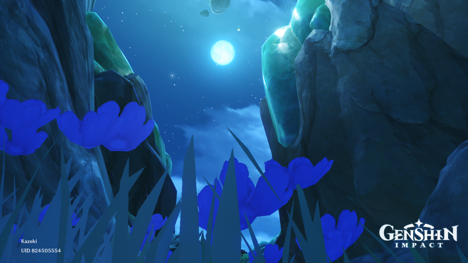 Night moon.. Genshin Impact | HoYoLAB