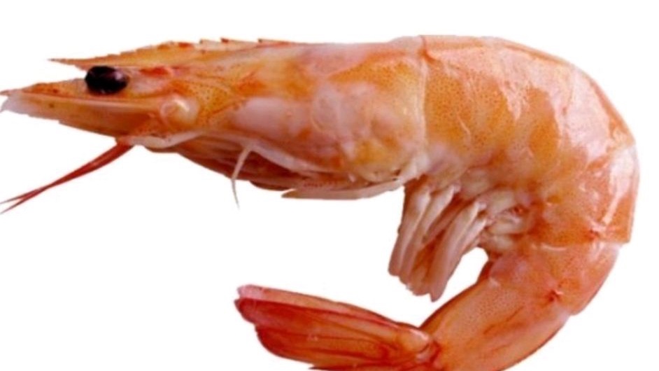 300 shrimpies have been cooked! | HoYoLAB