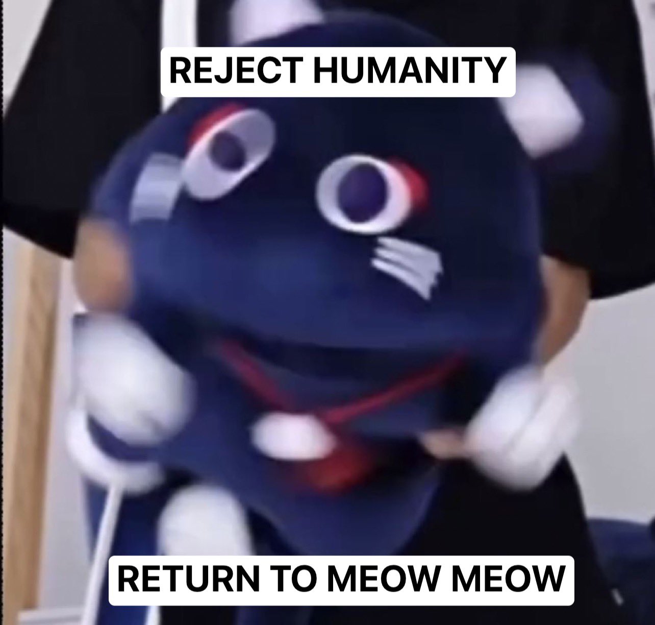 Day 23 of waiting for Wanderer’s rerun Genshin Impact | HoYoLAB